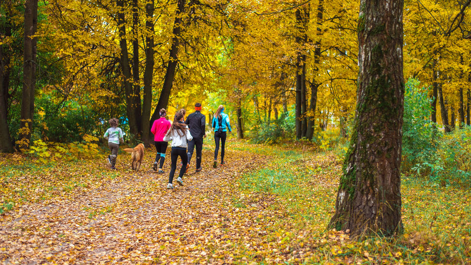 Fall Fitness: Ways To Stay Active This Fall Season | ActivatedYou