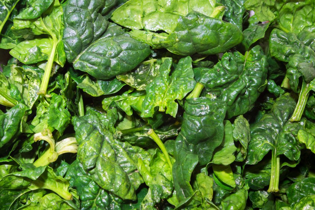 Spinach Facts: Health And Nutritional Benefits Of Spinach | ActivatedYou