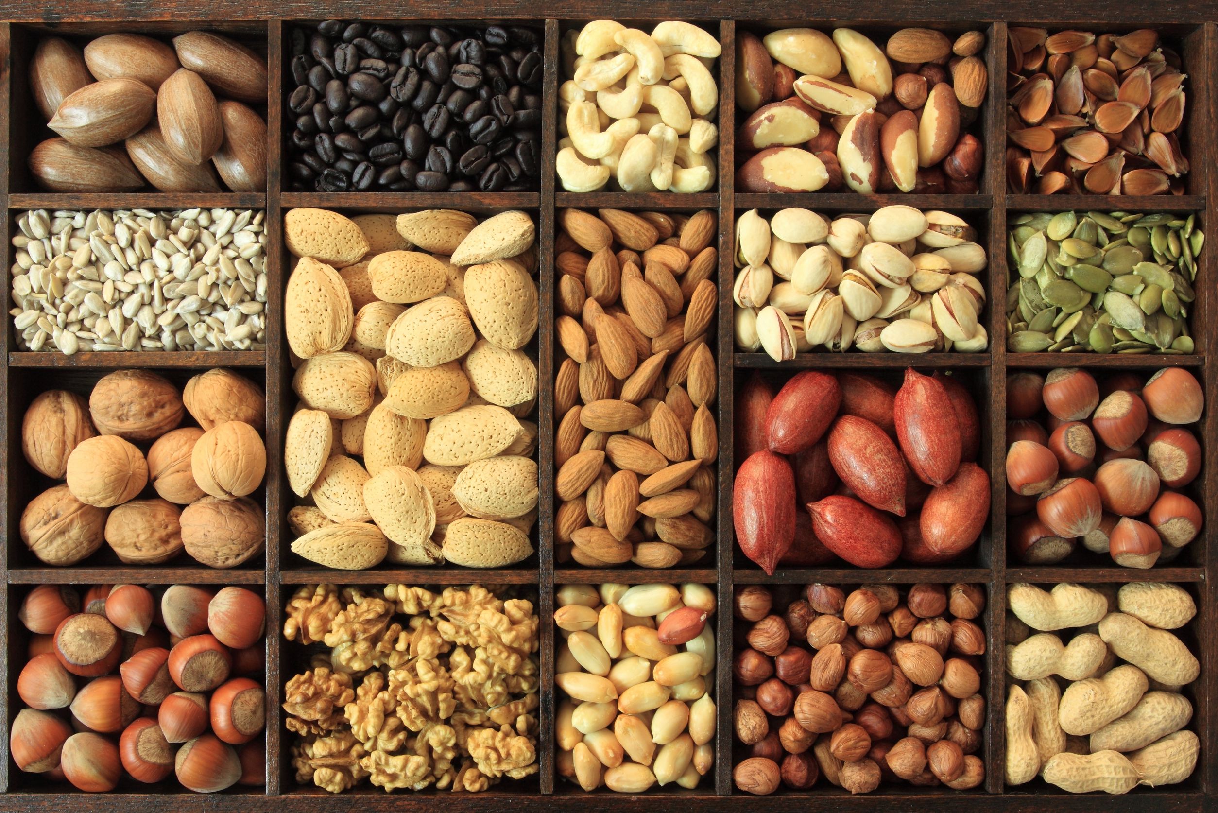 Vegan and Vegetarian Staples: Nuts and Seeds - ActivatedYou